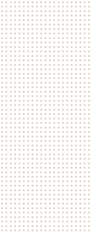 Policy Action Institute 2025